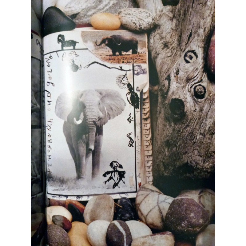 Peter Beard (Nouvelle éd.) edited by Nejma Beard and David Fahey ...