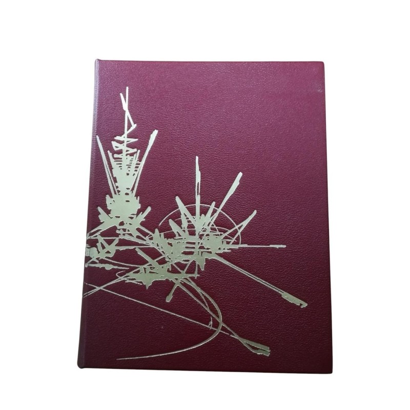 Dictionnaire des monuments de Paris - introd. de Laure Beaumont-Maillet